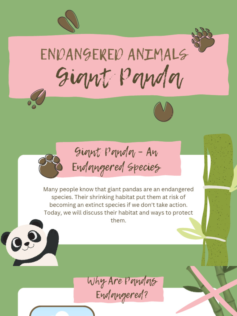 Colourful Observe and Compare Traits in Animals Science Activity | PDF