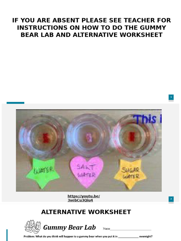 Gummy Bear Lab | PDF