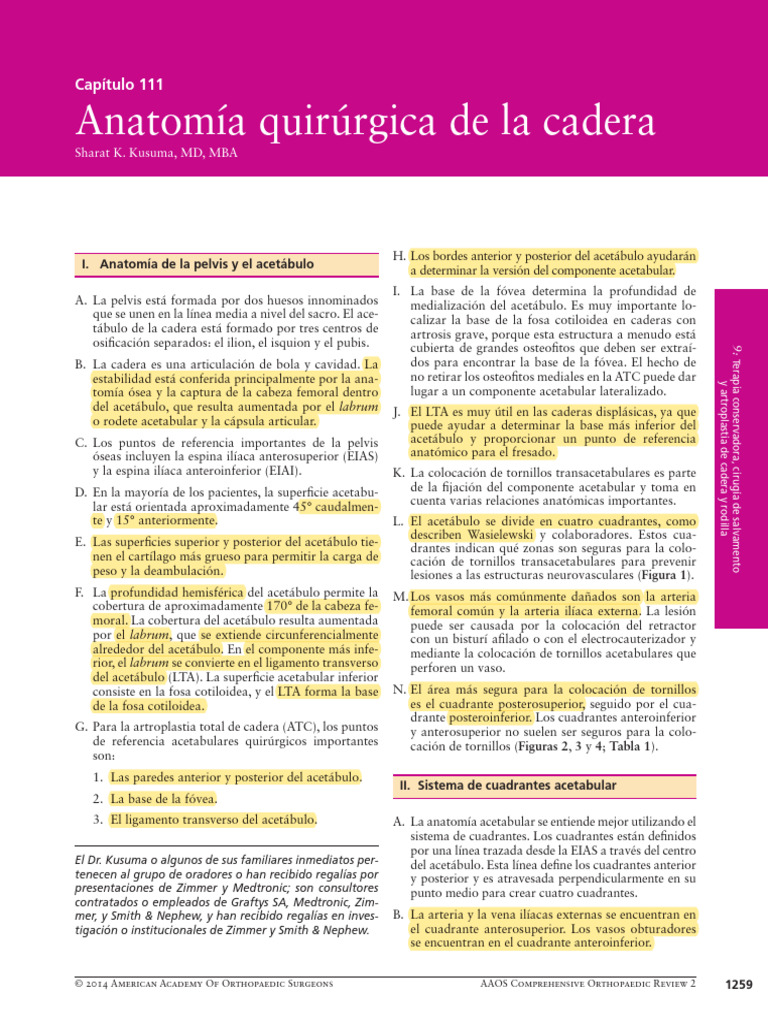 AAOS_cap_111.Anatomía quirúrgica de la cadera | PDF | Anatomía del miembro inferior | Cadera