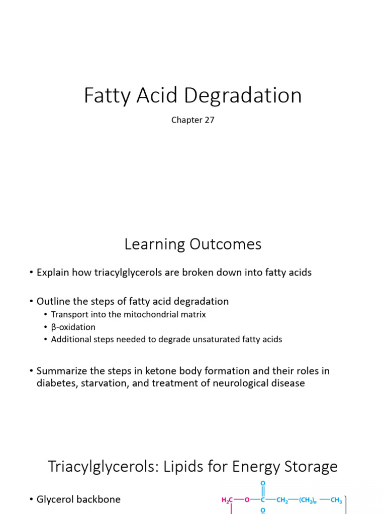 Fatty Acid Degradation and β-Oxidation | PDF | Ketosis | Lipid