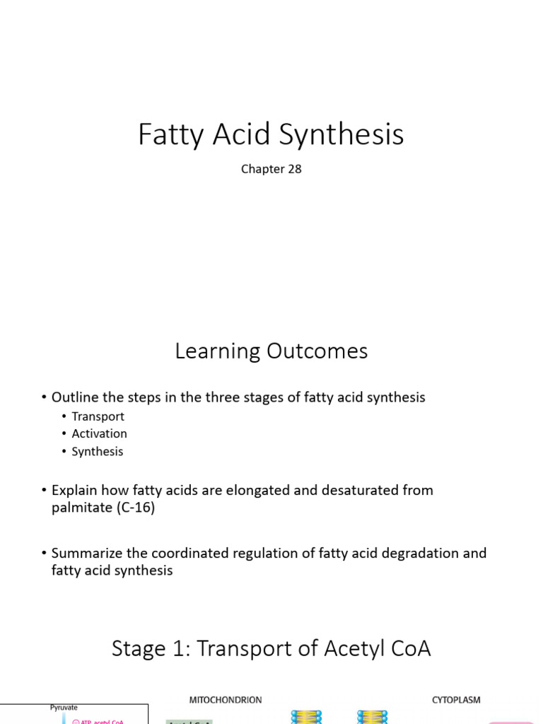 Chapter 28 - (Fatty Acid Synthesis) | PDF | Biosynthesis | Biochemistry
