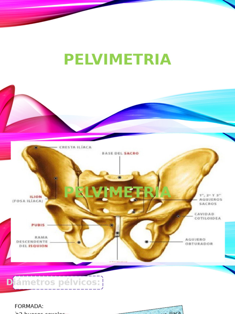 PELVIMETRIA Diapositiva | PDF | Pelvis | Sistema musculoesquelético