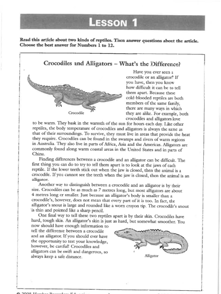 CARS Crocodile | PDF