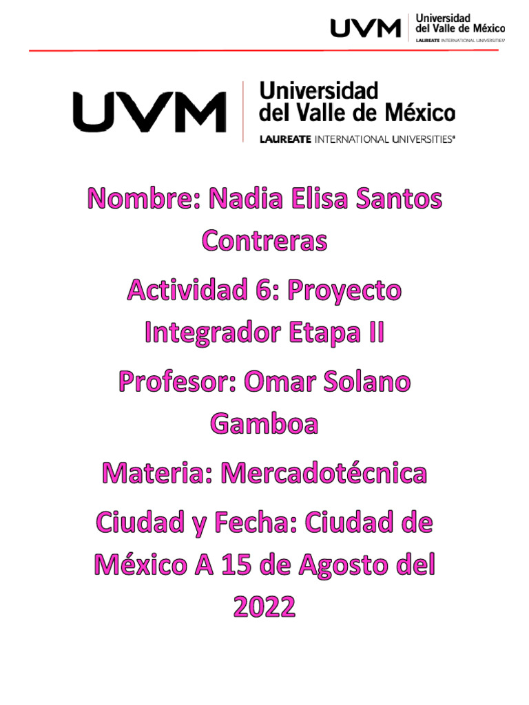 A6 Nesc | PDF | Marketing | Investigación de mercado