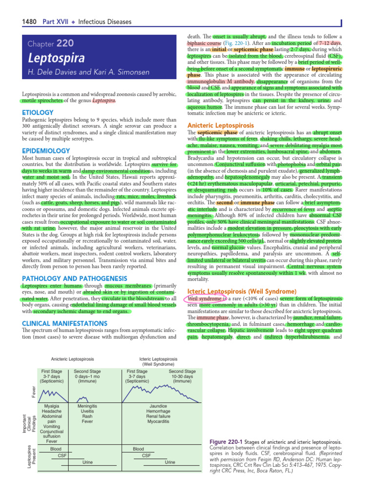 Leptospirosis Overview and Clinical Features | PDF | Human Diseases And ...