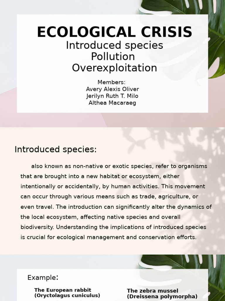 Ecological Crisis | PDF | Water Pollution | Pollution