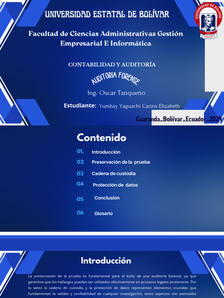 Tarea N°1 Individual-Segundo Parcial - Compressed-1 | PDF | Auditoría