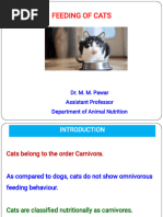 The Gluttonous Beast - StreetCatWiki | PDF | Cats