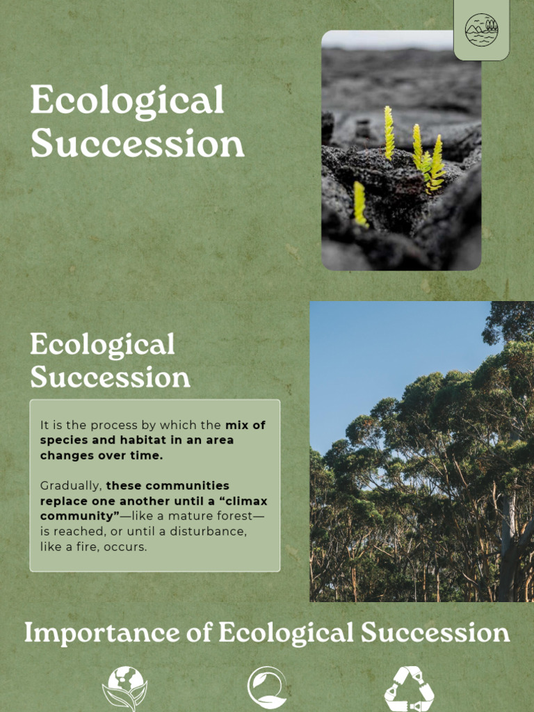 Understanding Ecological Succession | PDF | Disturbance (Ecology ...