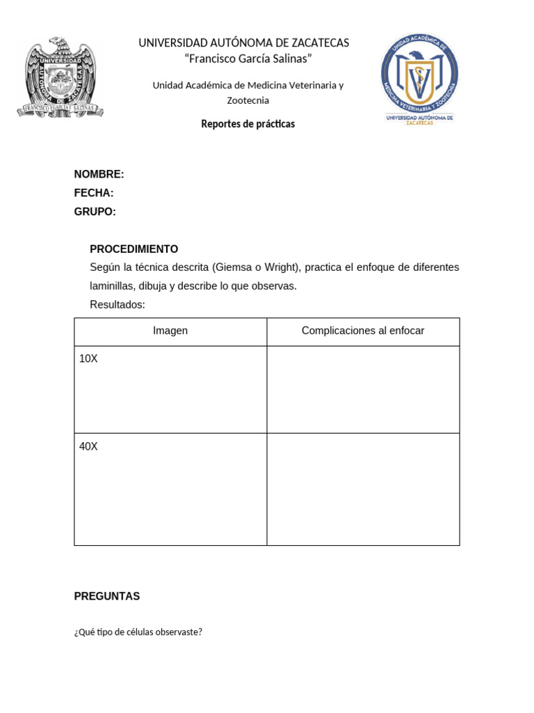 Reporte Practica 1 | PDF