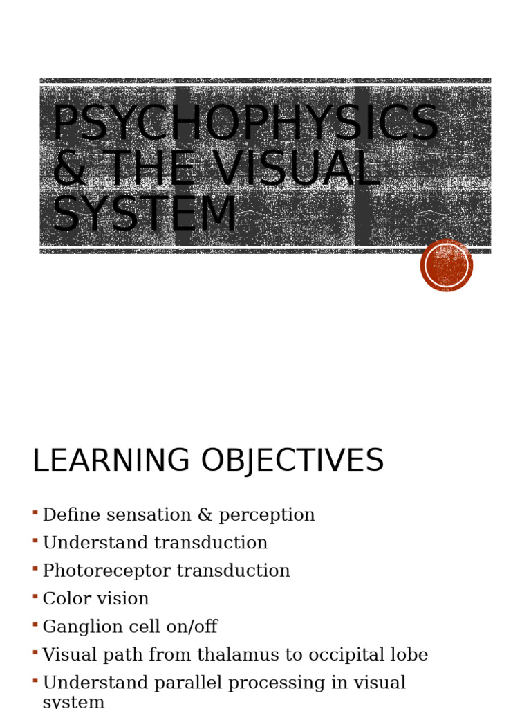 Lecture 8 Sensation Perception I POST | PDF | Visual Cortex | Senses