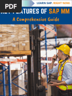 RICEFW's in SAP Projects and Role of Functional Consultant | PDF ...