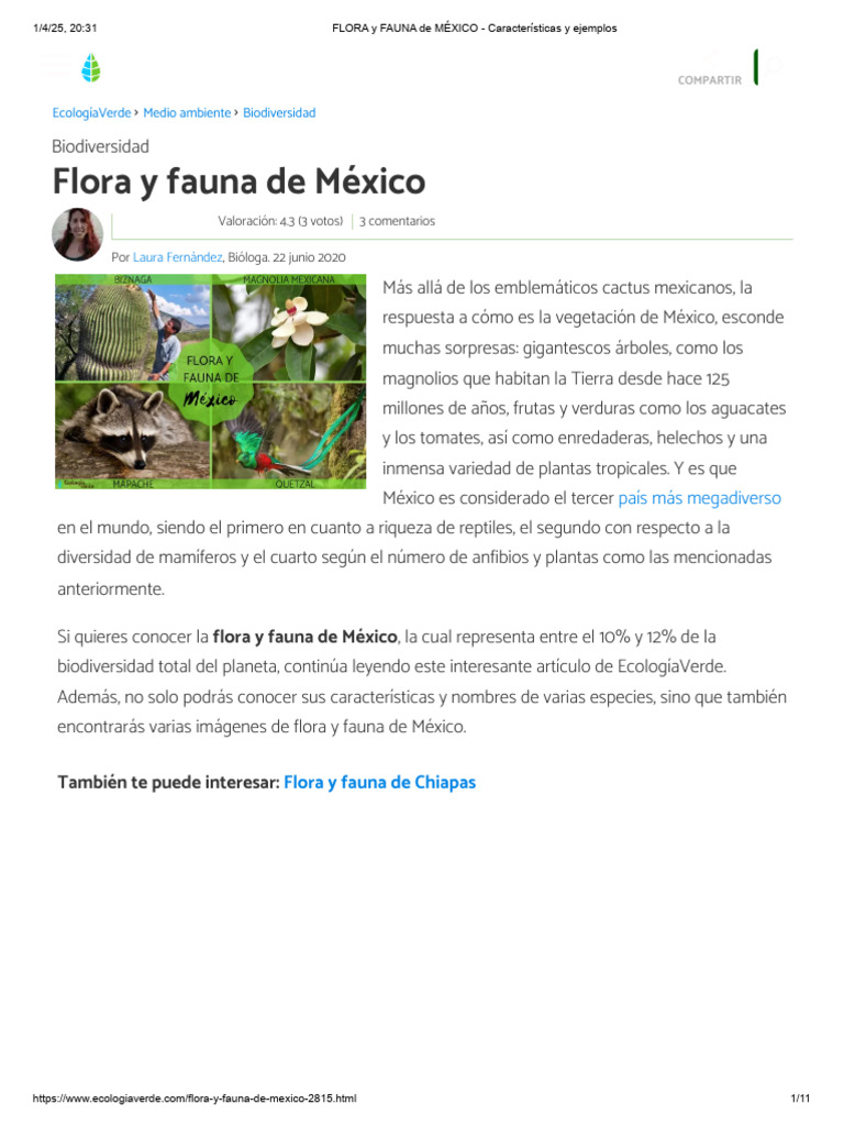 Flora y fauna de México: ejemplos e imágenes | PDF | Fauna | Selva