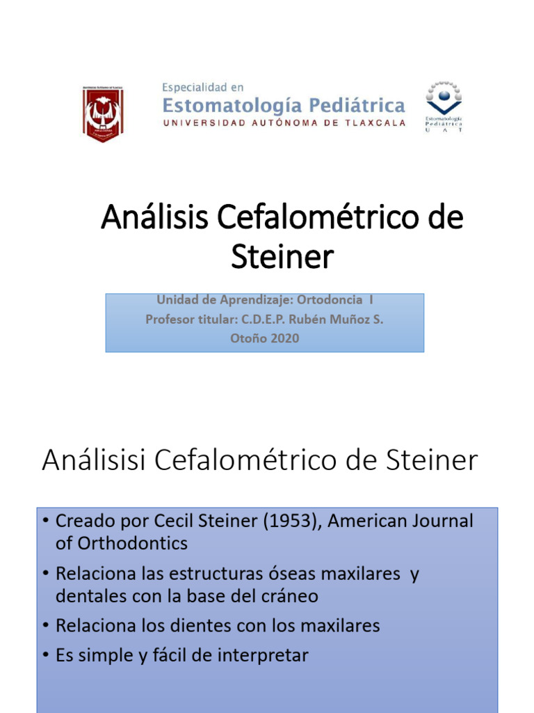 Stainer | PDF | Cráneo