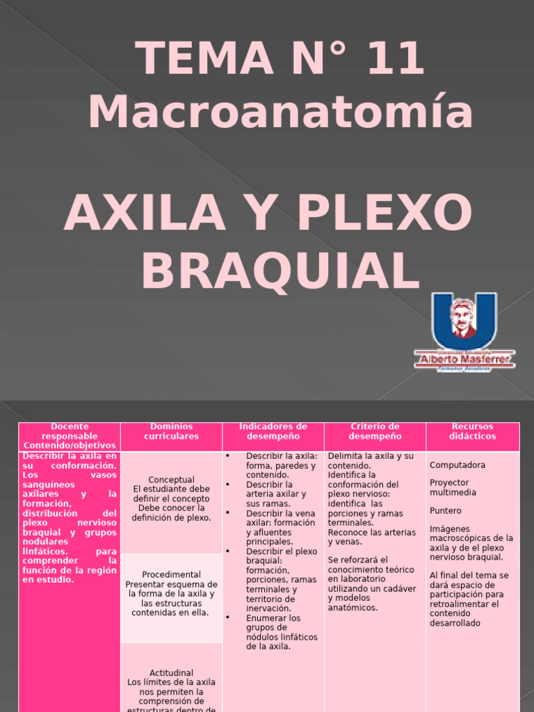 Tema 11 Axila | PDF | Angiología | Anatomía humana