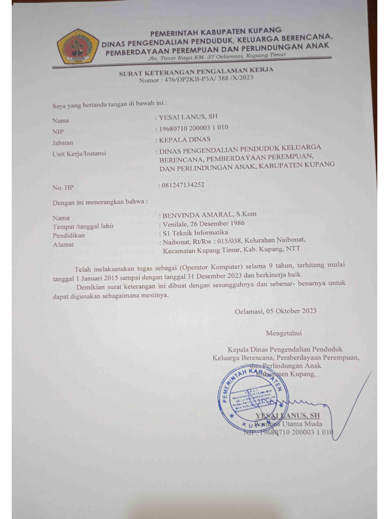 Pengalaman Kerja Mery | PDF