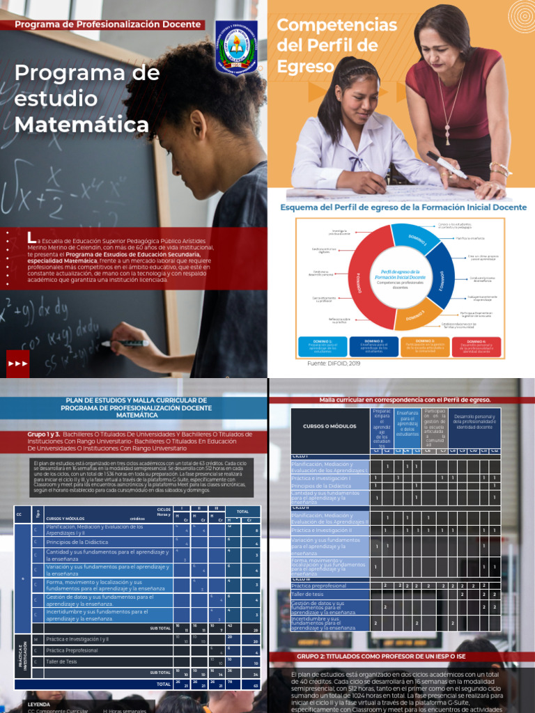 Brochure Matematica | PDF | Plan de estudios | Enseñando