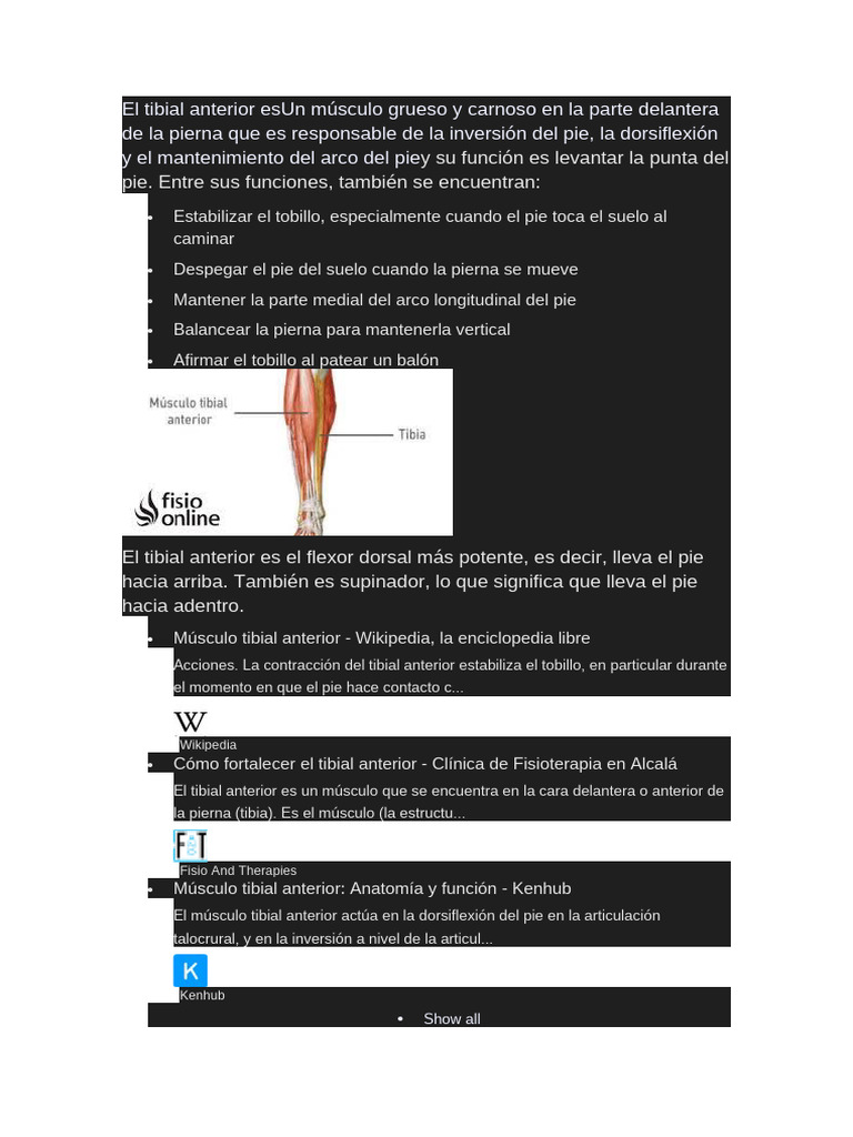 El Tibial Anterior Esun Músculo Grueso y Carnoso en La Parte Delantera ...