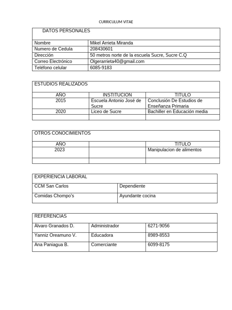 CURRICULUM Mikel | PDF