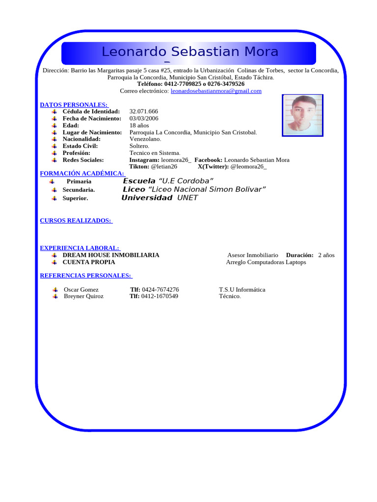 Curriculum Leonardo Sebastian Mora Romero | PDF