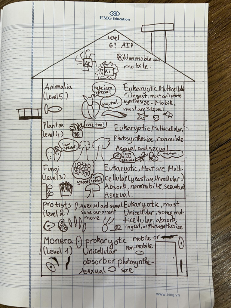 Mind Map For 5 Kingdoms | PDF