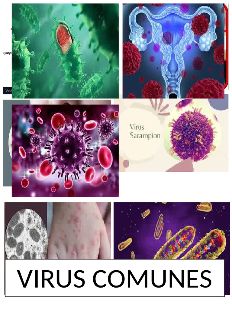 Ima Virus | PDF