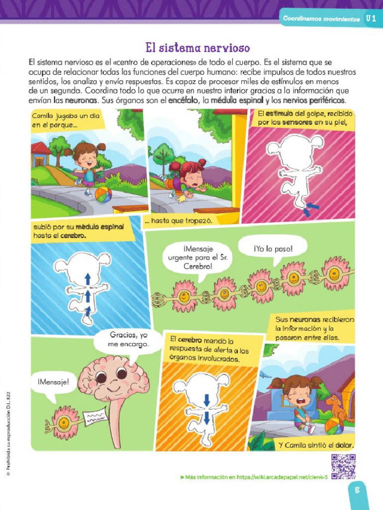 CyT 4°-Páginas | PDF