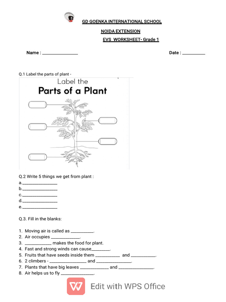 Grade 1 Evs Worksheet-1 | PDF