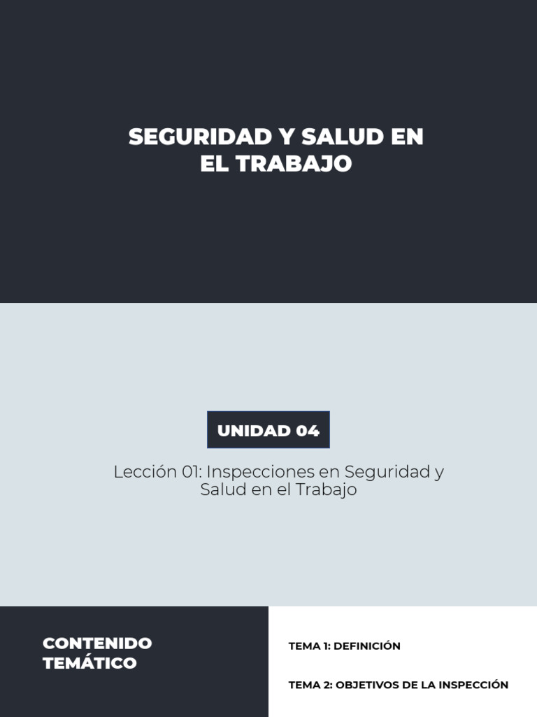 Inpse de Segu y Salud en El Trabajo | PDF