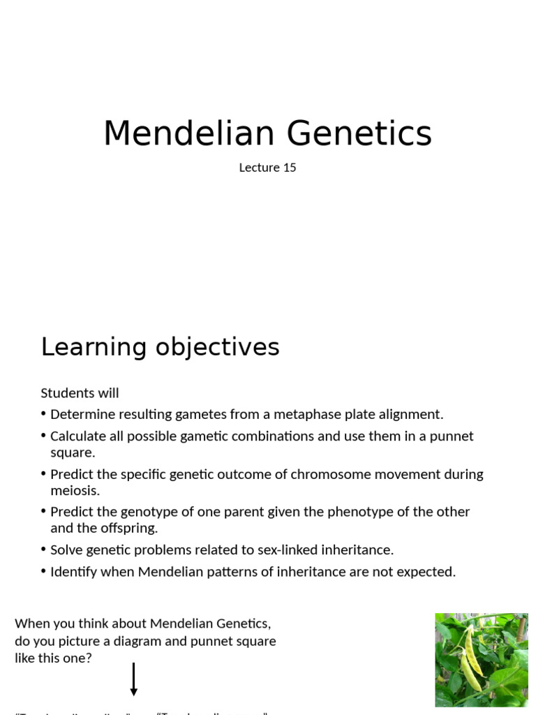 Biol113 Lec 15 Mendelian Genetics S | PDF | Meiosis | Dominance (Genetics)