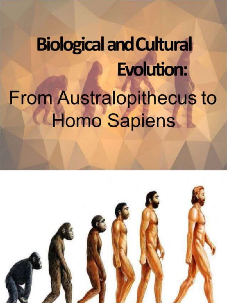 HUMAN EVOLUTION | PDF
