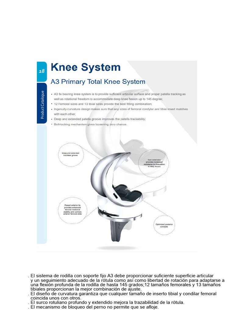 Rodilla Ak1 PDF | PDF