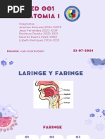 Inervación y Vascularización de la Faringe | PDF | Sistema digestivo ...