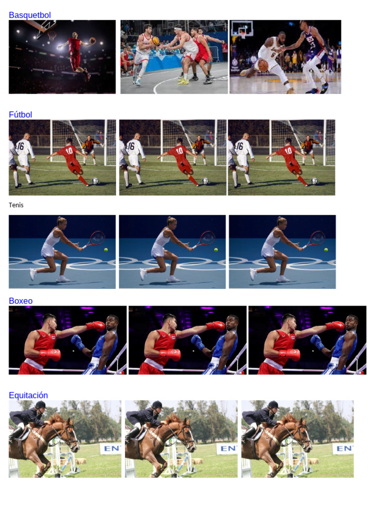 30 Tipos de Deportes Enumerados | PDF