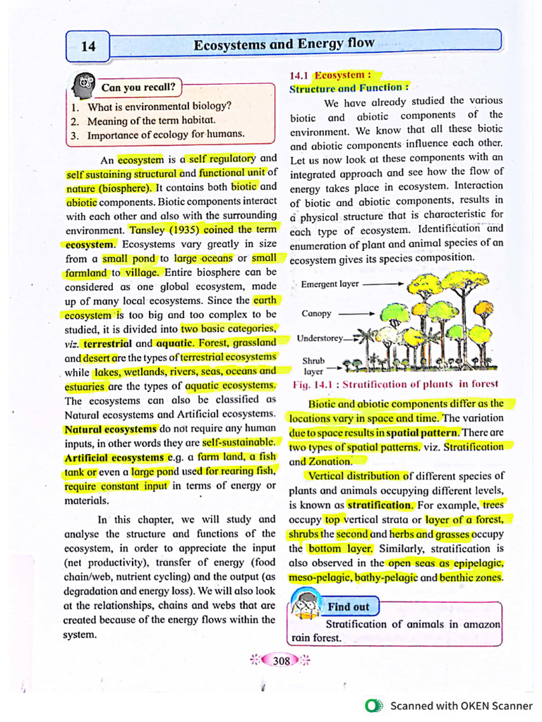14.Ecosystem and Energy Flow | PDF