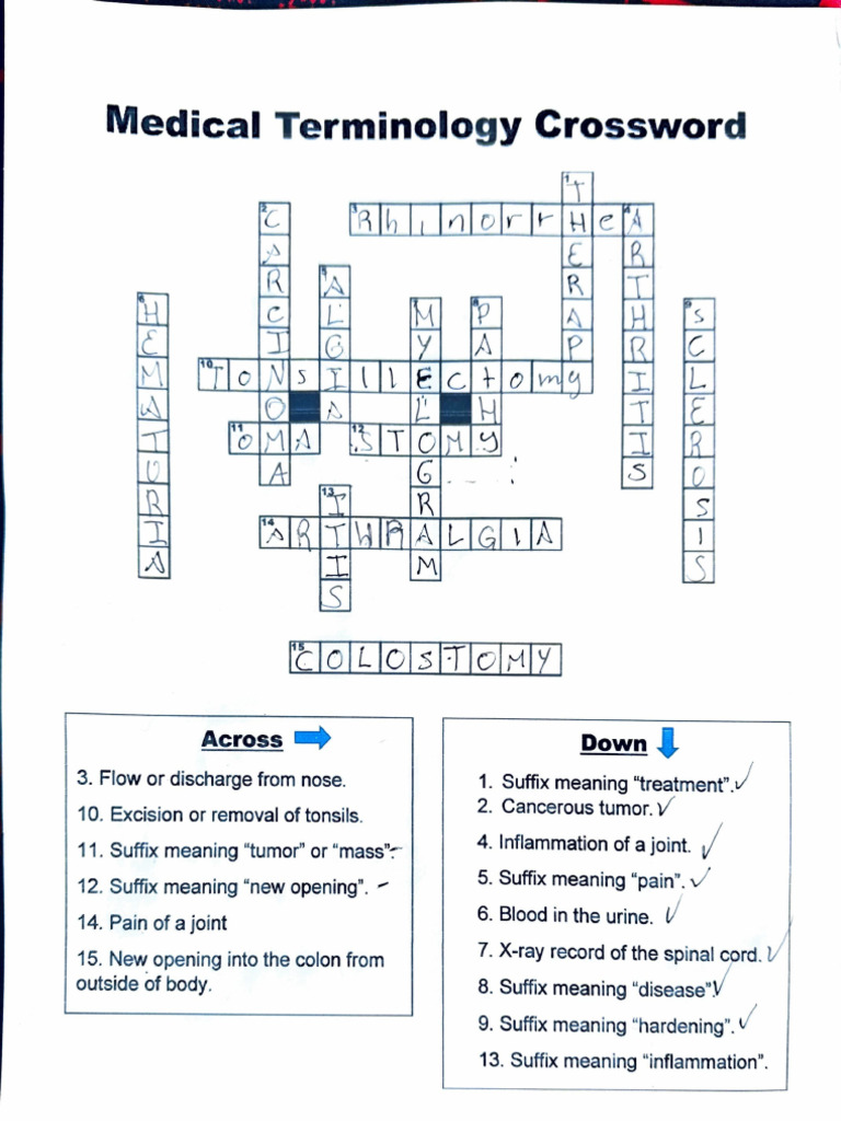 Medical Terminology Crossword Puzzle | PDF