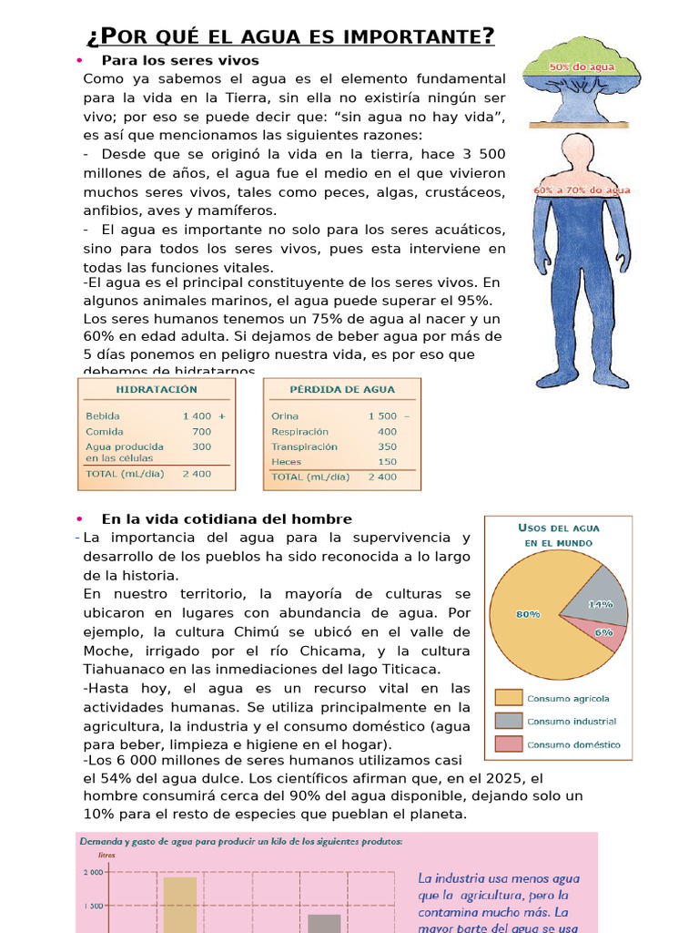 Ficha Cyt 21-03 | PDF