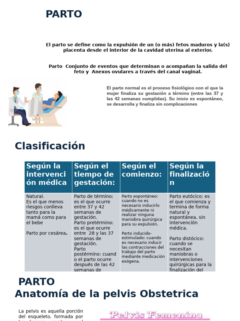 Tipos y Fases del Parto Obstétrico | PDF