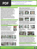 Sistema ICDAS en Diagnóstico de Caries | PDF | Odontología | Diente