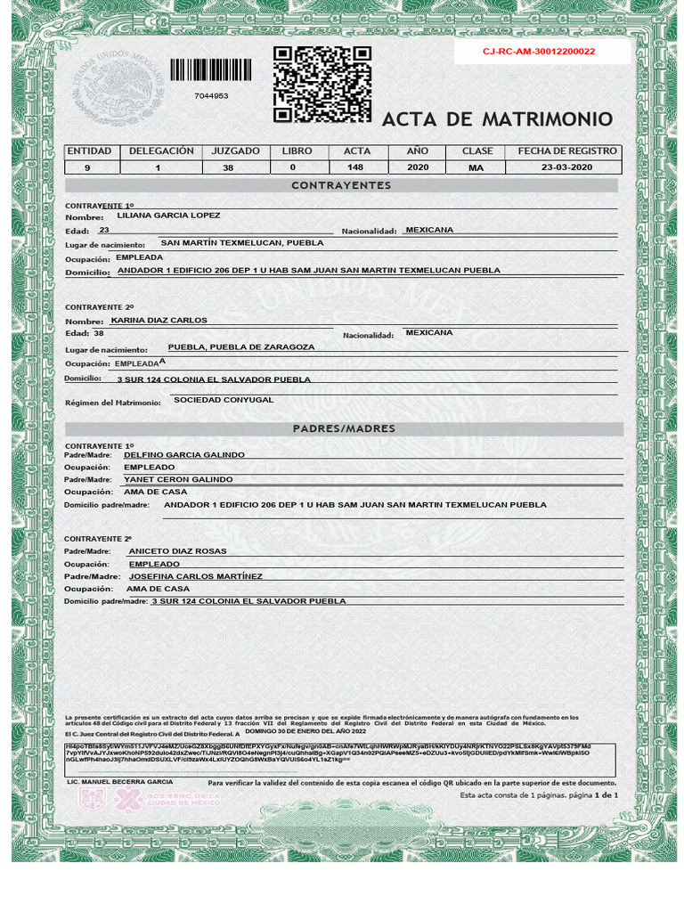 ACTA1 | PDF | Instituciones sociales