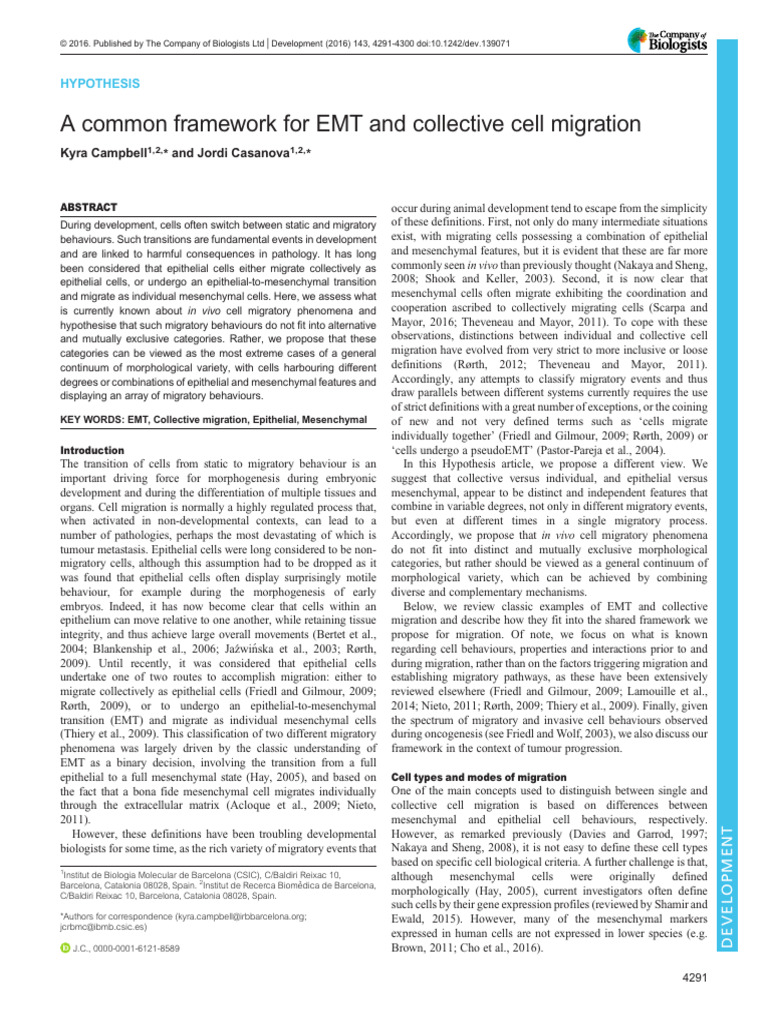 A Common Framework For Emt And Collective Cell Migration Pdf Epithelium Cell Adhesion