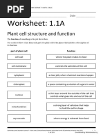 S9 Unit 4 Worksheets | PDF | Root | Leaf