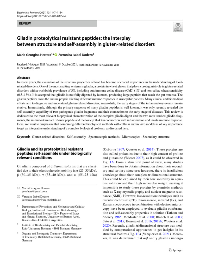 Gliadin Peptides: Structure and Self-Assembly | PDF | Coeliac Disease ...