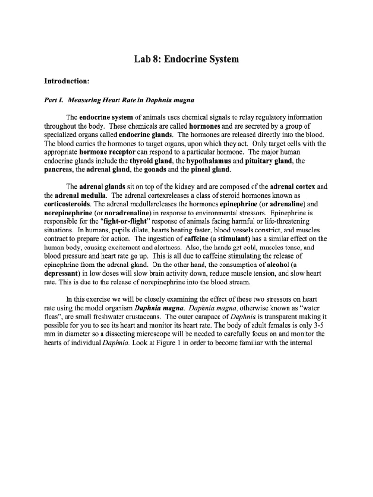 Endocrine System Lab Packet1 - Spring 2024 Introductory Biology II Lab ...