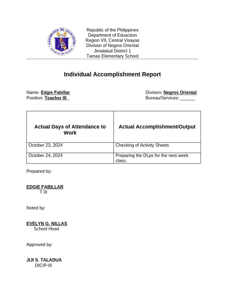 Individual Accomplishment Report | PDF
