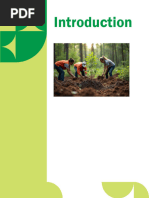 Tree Plantation: Process and Guidelines | PDF
