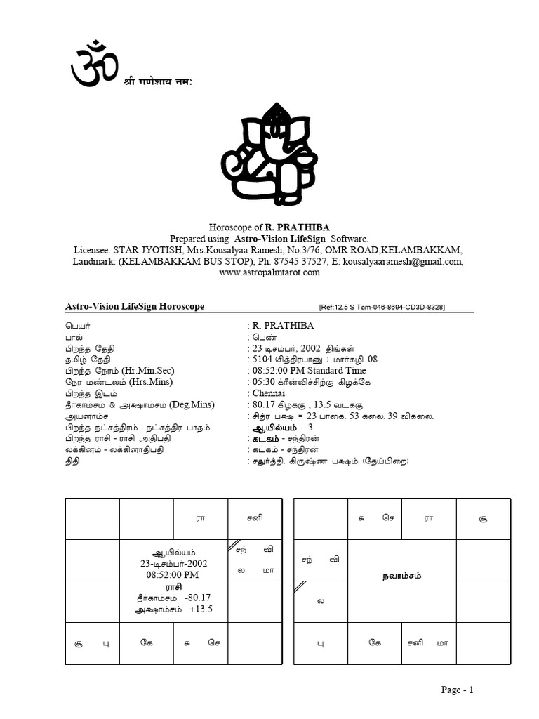 AstroVision Avatar Printout | PDF