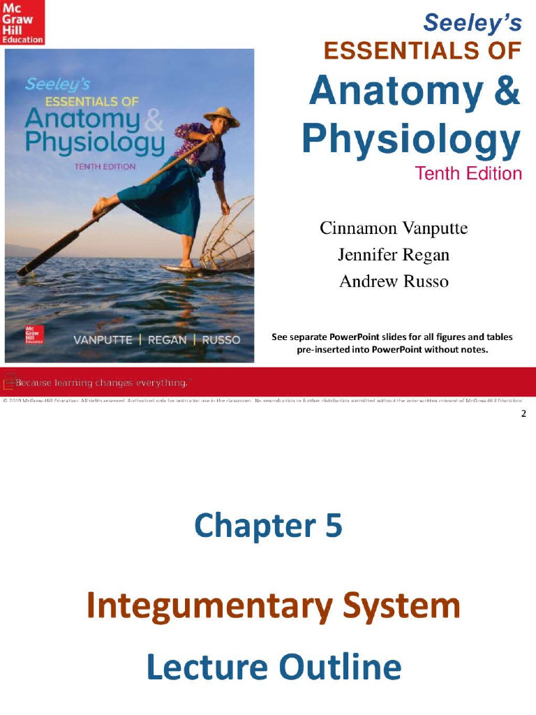Chapter 5 Integumentary System | PDF