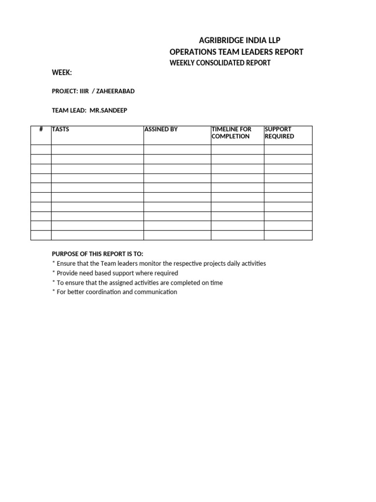 Ab Team Leaders Weekly Report Format | PDF