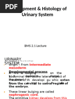 Invertogram 180604185707 | PDF | Pelvis | Anatomy